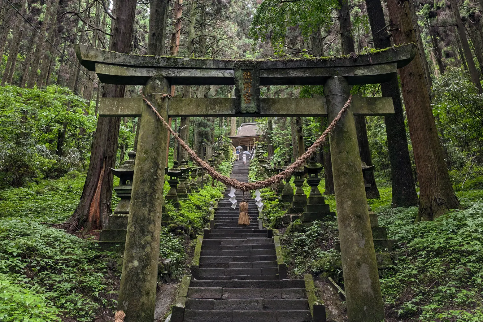 Sacred Shinto and Nature Tour - Discover Aso and Takachiho
